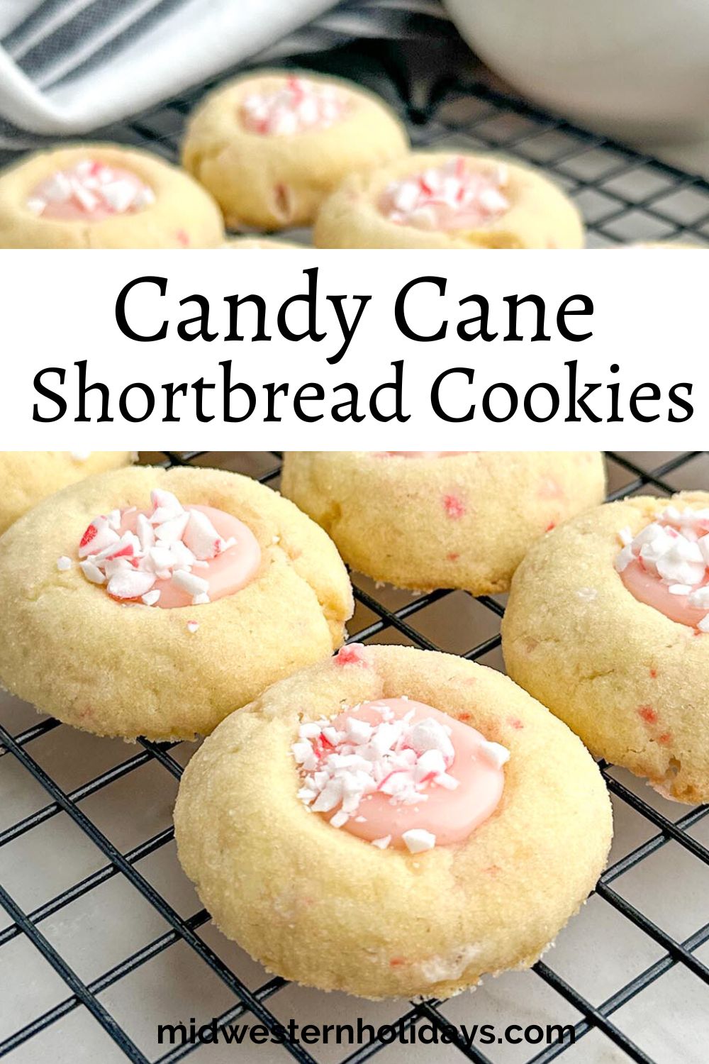 Candy Cane Shortbread Cookies - Midwestern Holidays